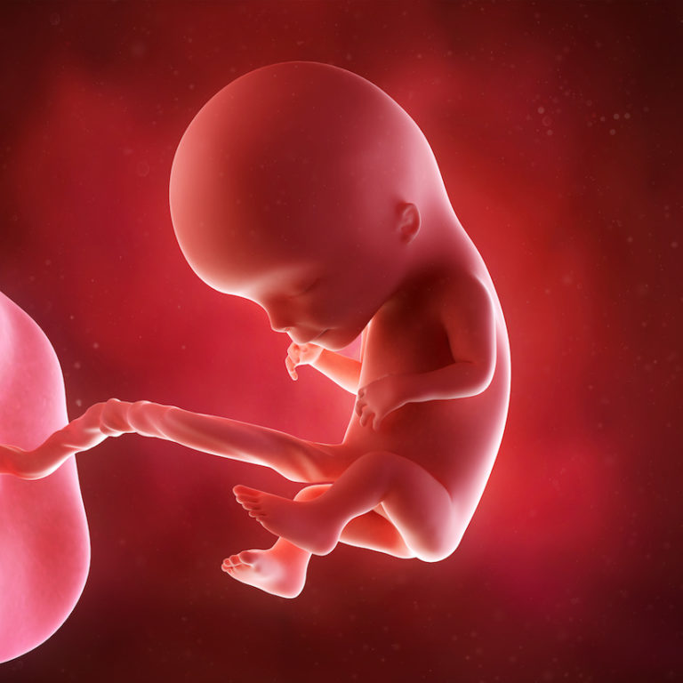 what-to-expect-when-you-re-12-weeks-pregnant-my-site